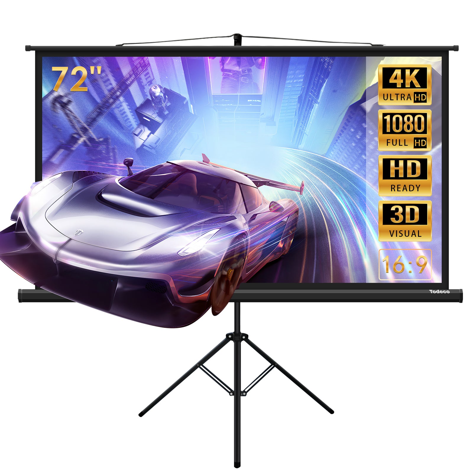 Projection Screen (160 x 90cm)